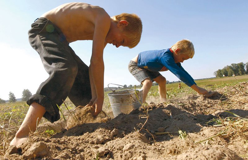 Deca kao moderni robovi: Alarmantni podaci o eksploataciji najmlađih u ...